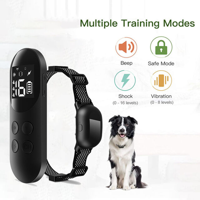 Remote Dog Training Collars