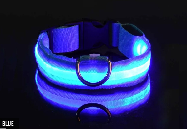 LED Dog Collars - USB Rechargeable