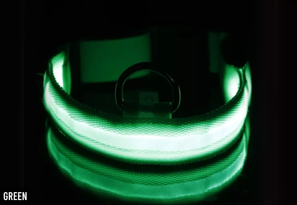LED Dog Collars - USB Rechargeable