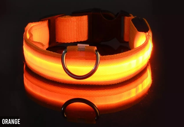 LED Dog Collars - USB Rechargeable